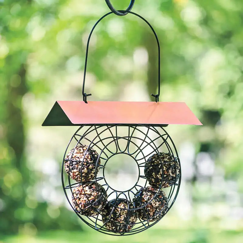 Seed Ball Bird Feeder – Breck's