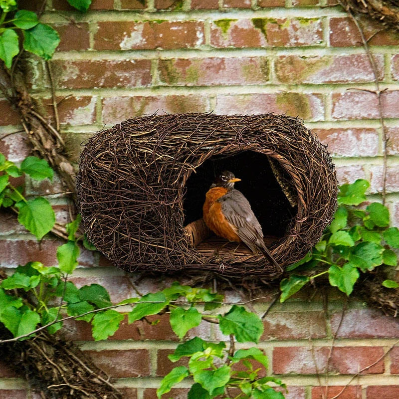 Shop Songbird Nester | Bird Houses | Breck's Bulbs Canada