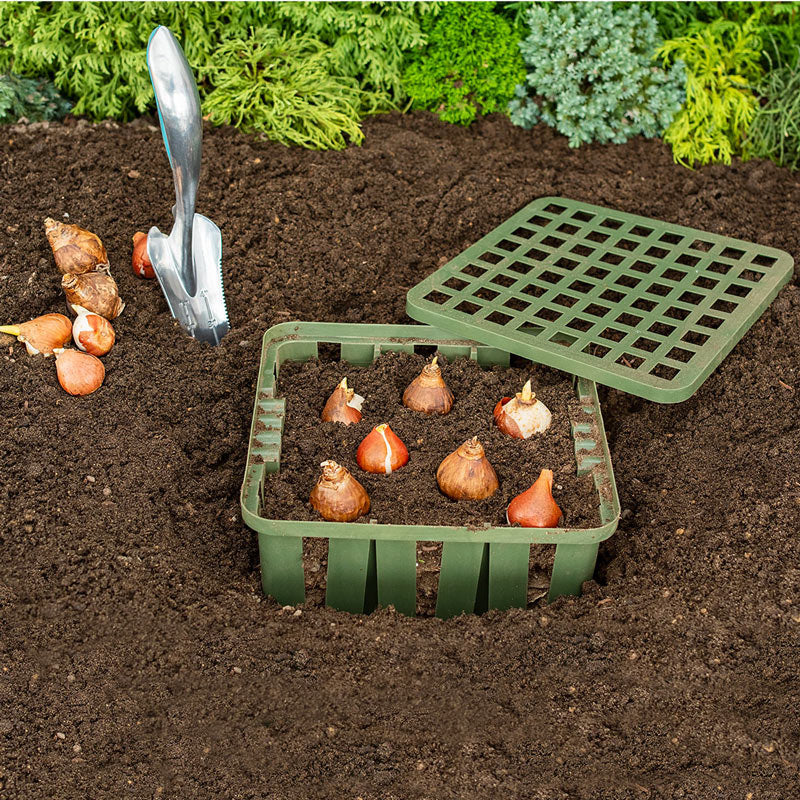 WellBuilt Bulb Planter | Shop Online | Breck's Bulbs Canada – Brecks Canada
